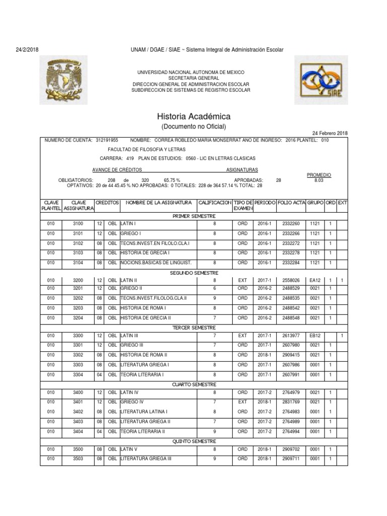 SIAE (Panel de Control) | PDF