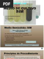 Medio Sim | PDF