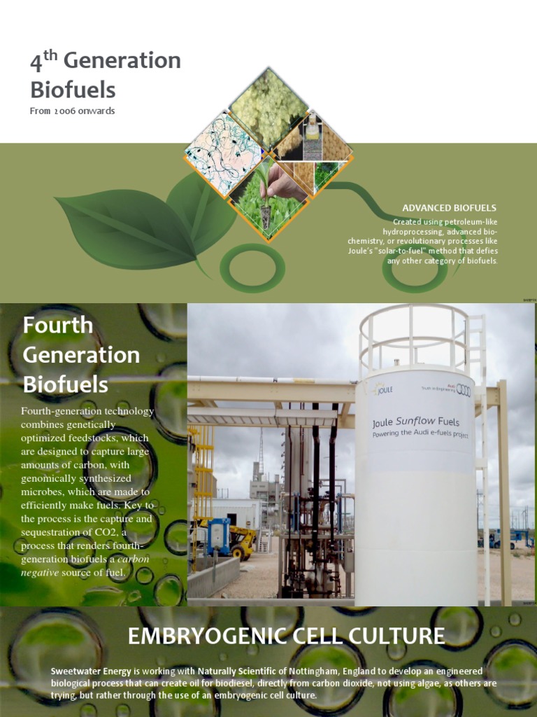 4th Generation Biofuels | PDF | Biofuel | Alternative Fuel