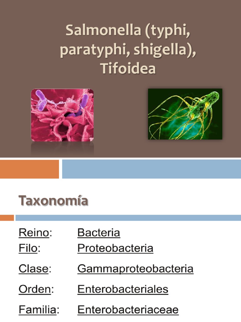 Diferencias entre Salmonella Typhi y Paratyphi | PDF | Salmonela ...
