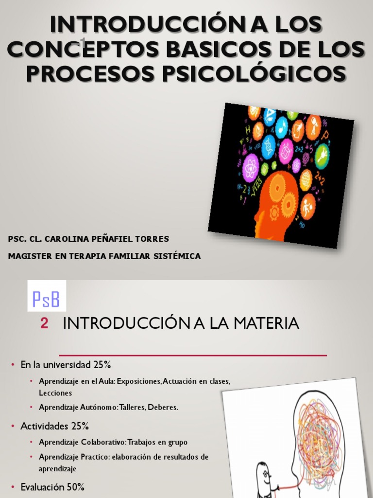 Procesos Psicológicos Básicos | PDF | Memoria | Percepción