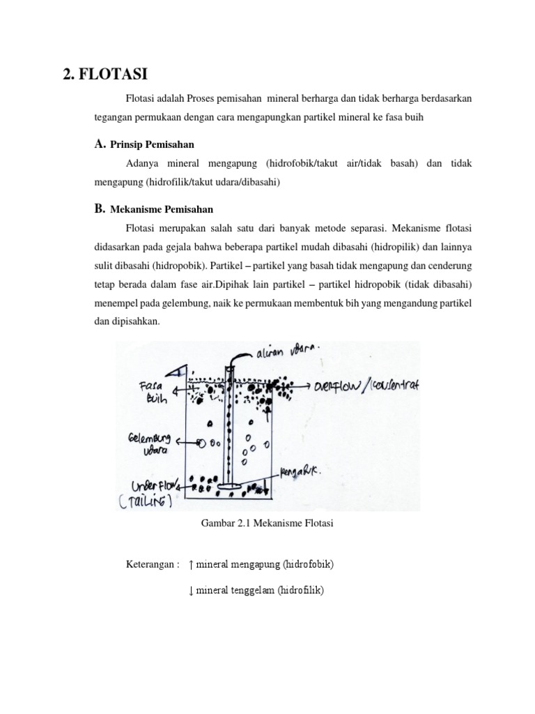 Flotasi | PDF