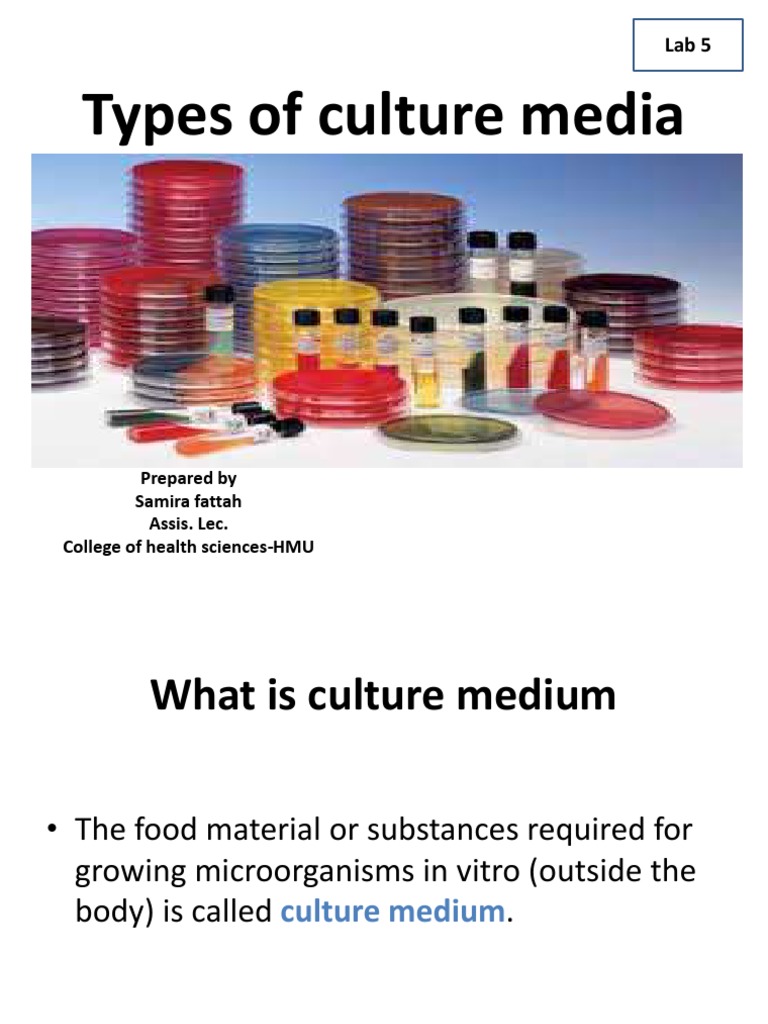 Types of Culture Media | PDF | Growth Medium | Bacteria