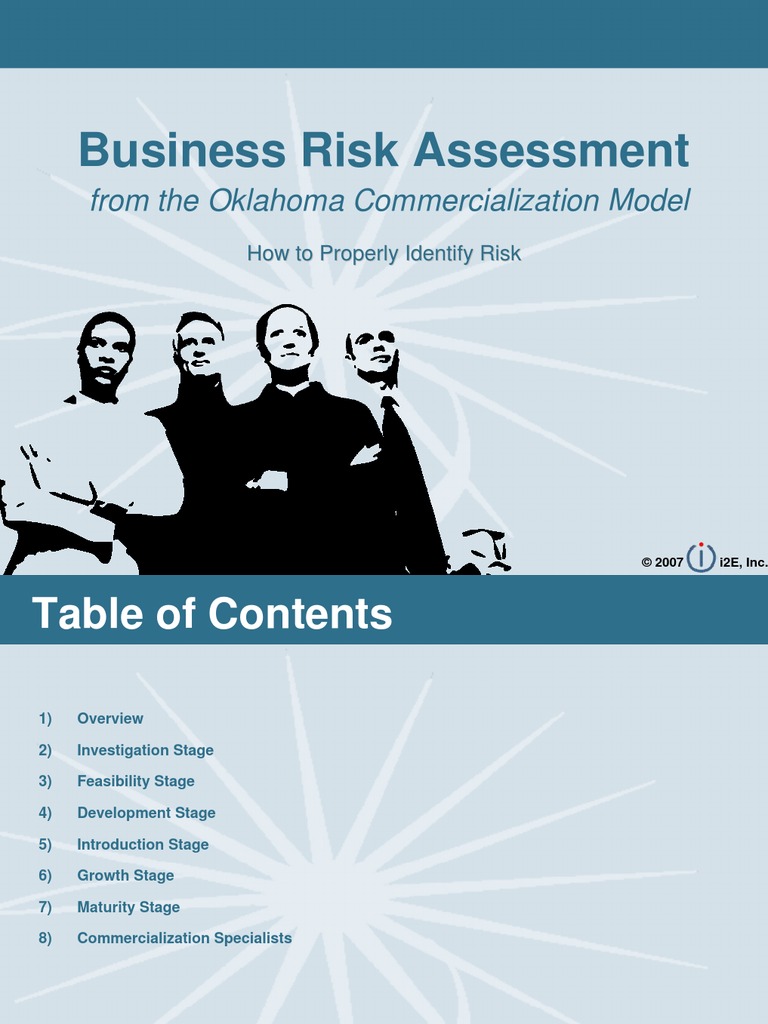 Business Risk Assessment PDF | PDF | Innovation | Risk