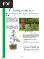 SCIENCE-5-Q2-Module 4 | PDF | Flowers | Plant Reproduction