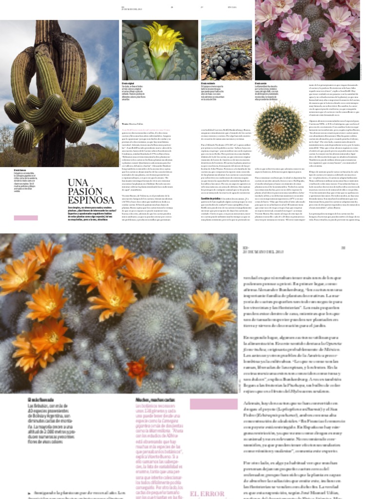 2505 Cactus | PDF | Plantas | Naturaleza