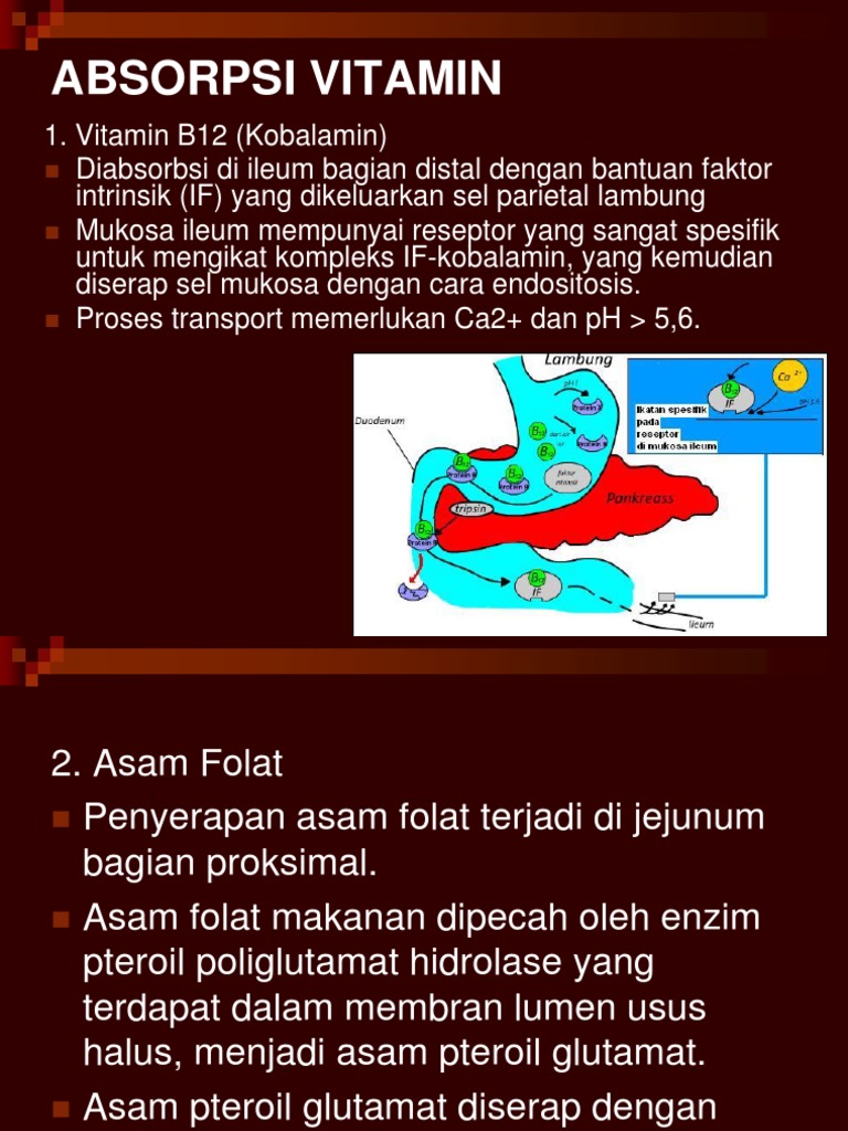 Absorbsi Vitamin (ANGGA) | PDF | Memasak, Makanan, & Anggur | Kesehatan ...