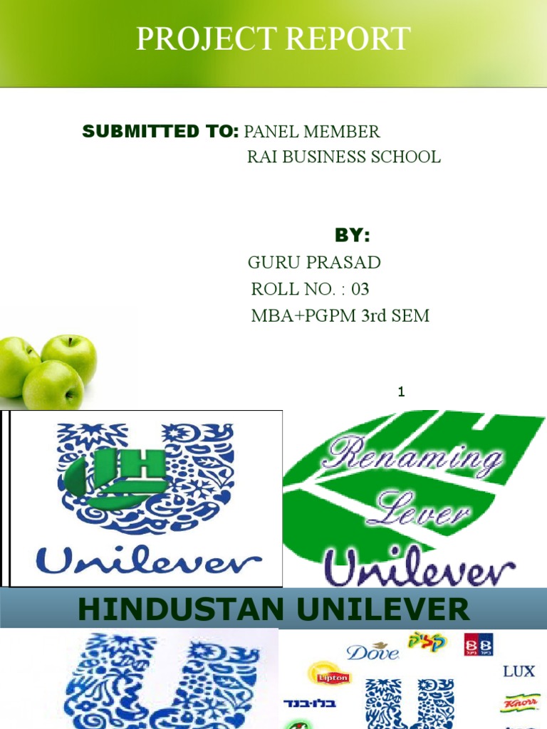 Hul Project Report | PDF | Retail | Business Economics