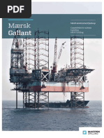 Maersk Group Core Values | PDF | Risk | Science
