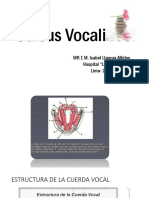 Sulcus Vocal: Tipos y Tratamientos | PDF | Vocal | Patología del habla ...