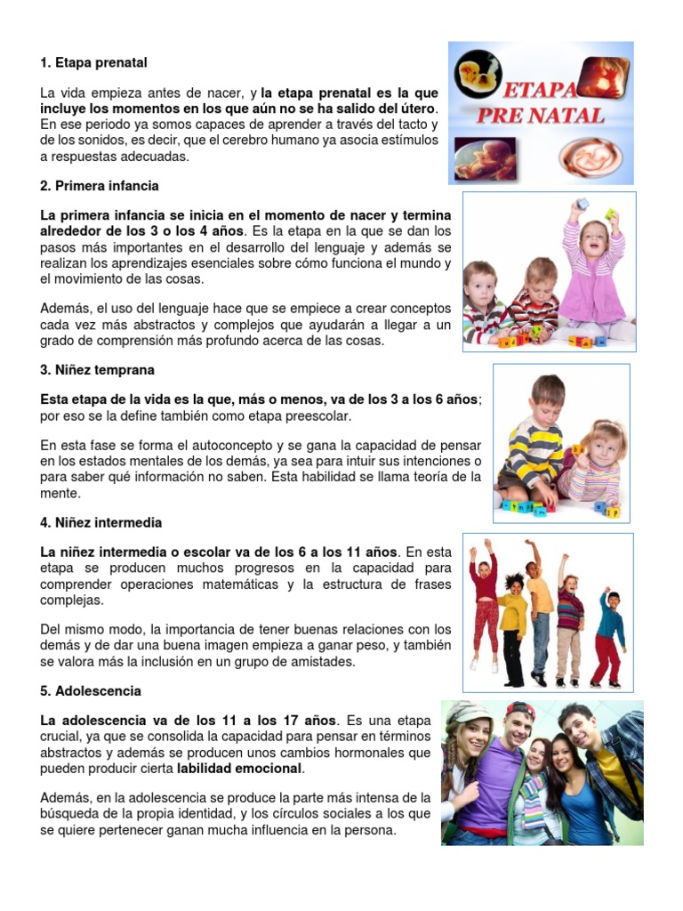 Etapas de la Vida Humana: Un Resumen | PDF | Infancia | Vejez