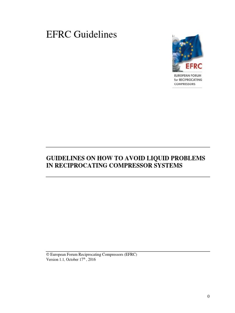 EFRC Guidelines For Liquids | PDF | Piston | Liquids