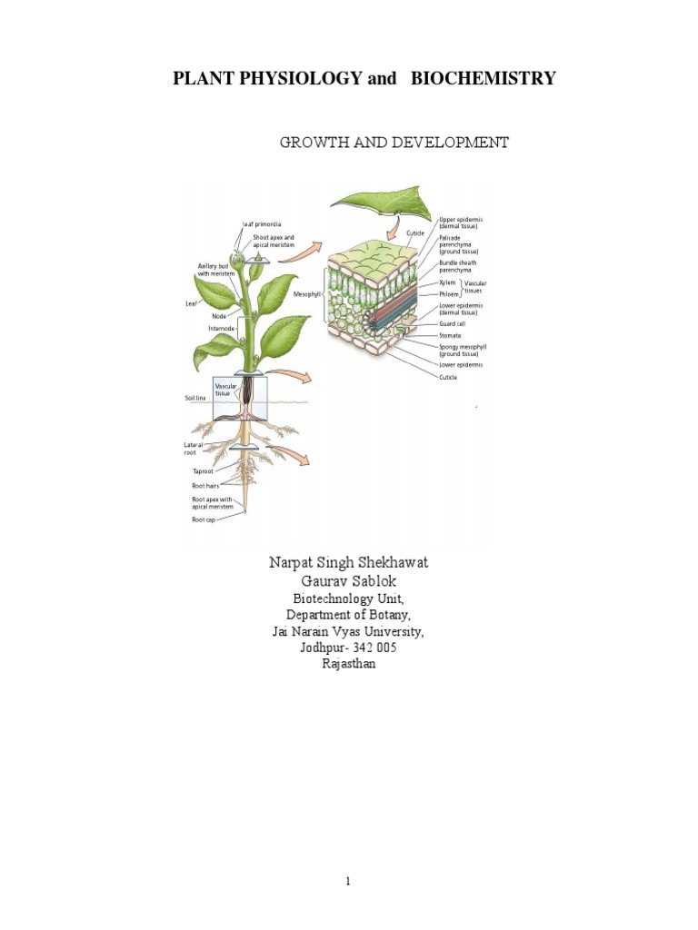 PLANT PHYSIOLOGY and BIOCHEMISTRY.pdf