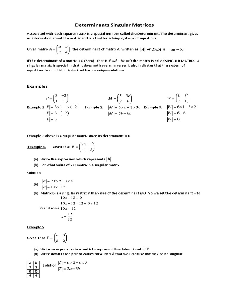 Determinants and Singular Matrices PDF | PDF | Determinant | Matrix ...