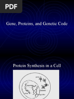 Snorks Activity Revised | PDF | Translation (Biology) | Gene