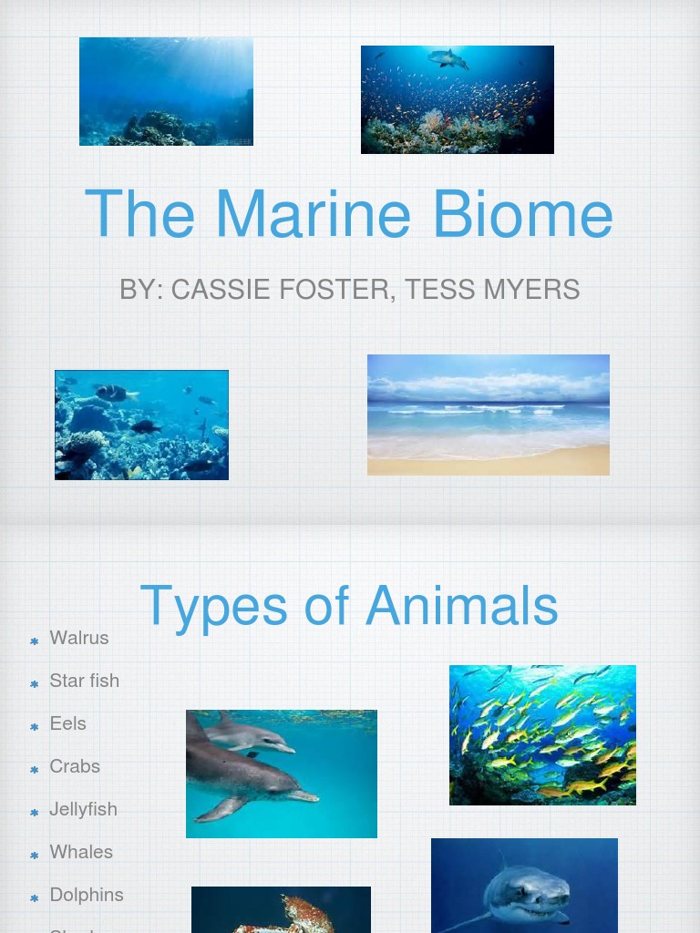 Overview of the Marine Biome | PDF