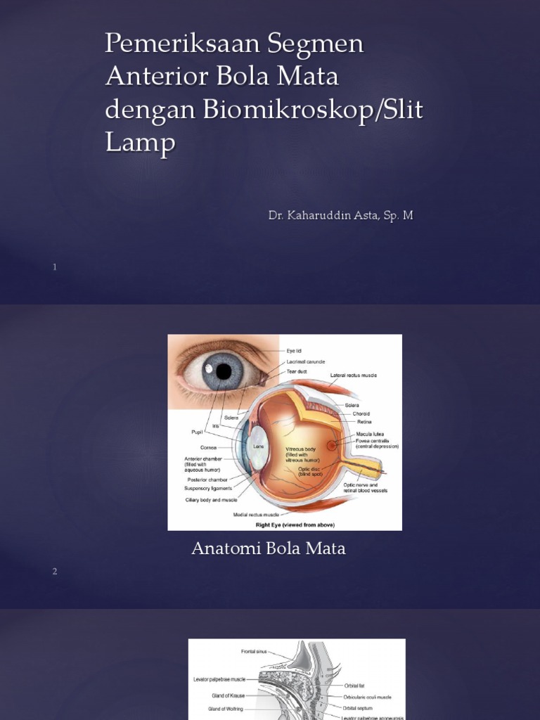 Pemeriksaan Segmen Anterior Bola Mata Dengan Lampu Celah | PDF
