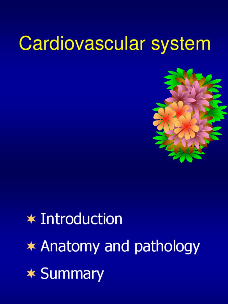 An In-Depth Review of Cardiovascular Anatomy and Common Pathologies as ...