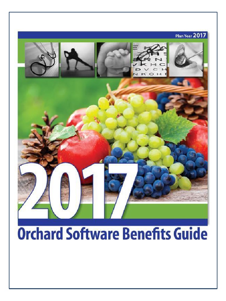 2017 Benefits Guide PDF | PDF | 401(K) | Payroll