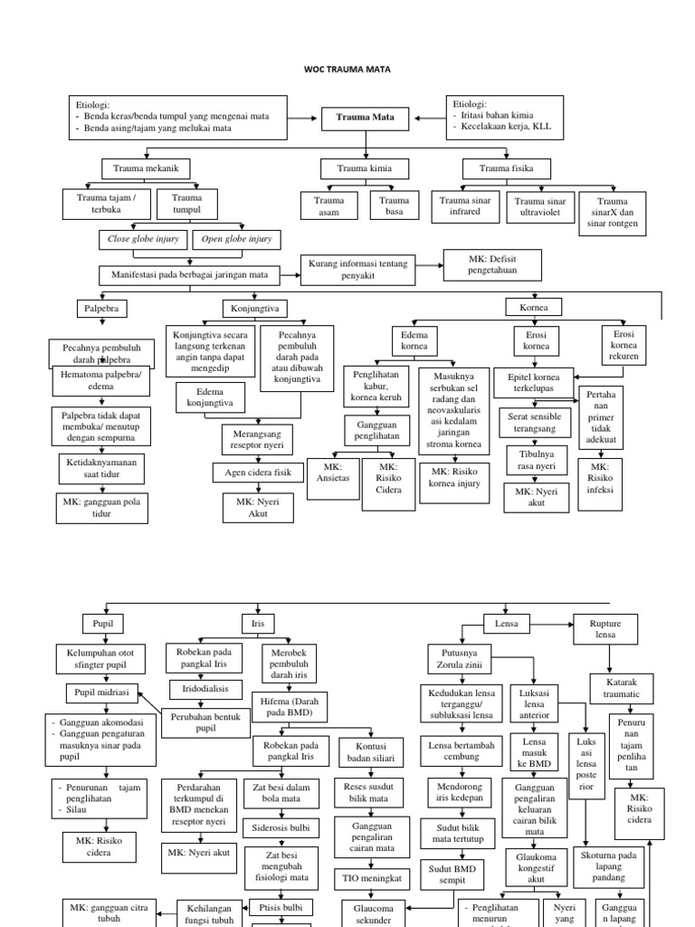 Woc Trauma Mata | PDF