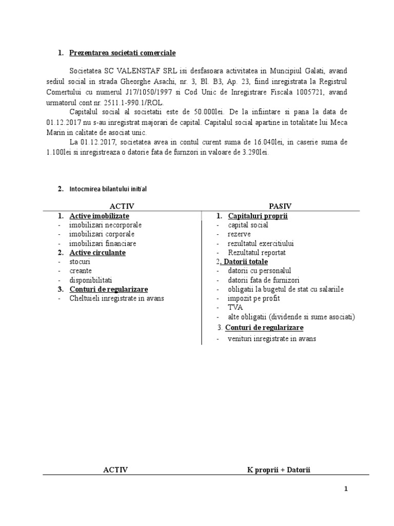 Monografie contabila