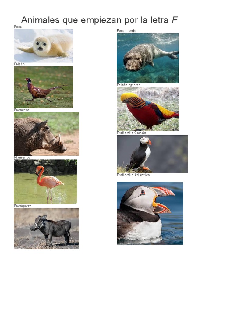 Animales Que Empiezan Por La Letra F | PDF