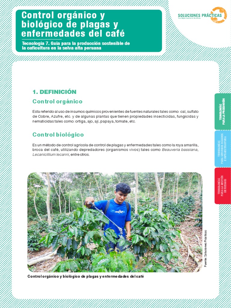 Control Organico y Biologico de Plagas y Enfermedades Del Cafeto | PDF ...