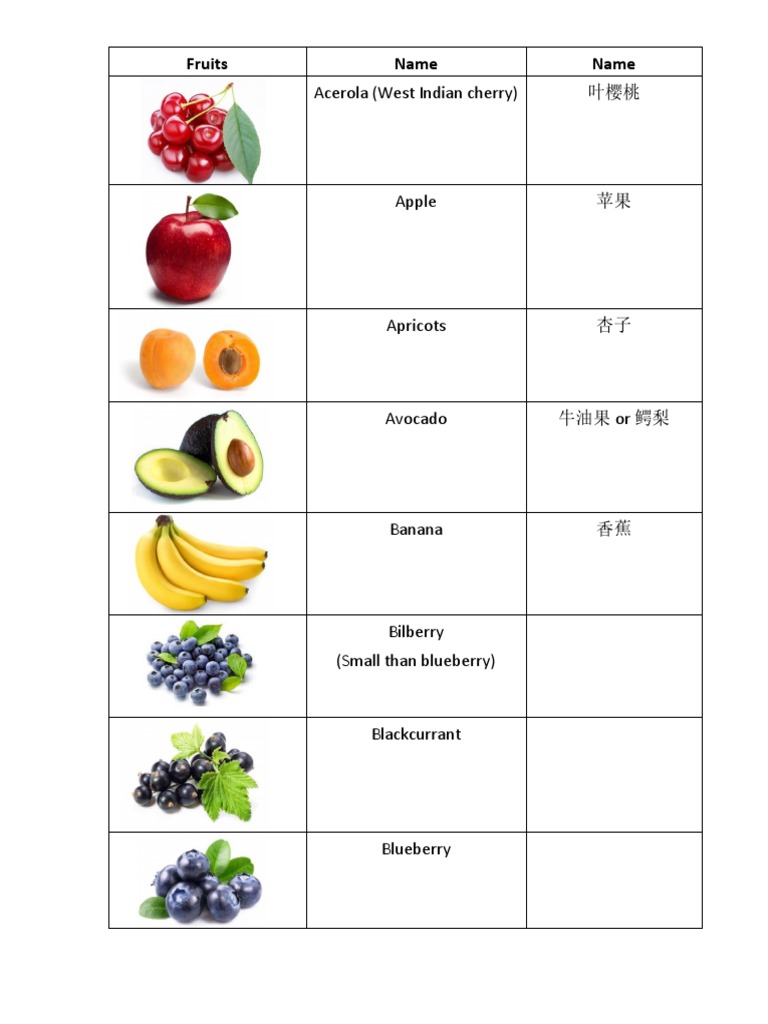Bilingual Fruit Glossary | PDF