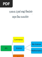 Pascal Paper | PDF | Computer Program | Programming