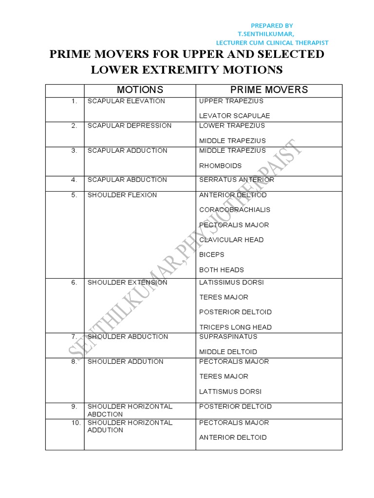 Human Movements and Its Controlling Muscles - For Physiotherapy and ...