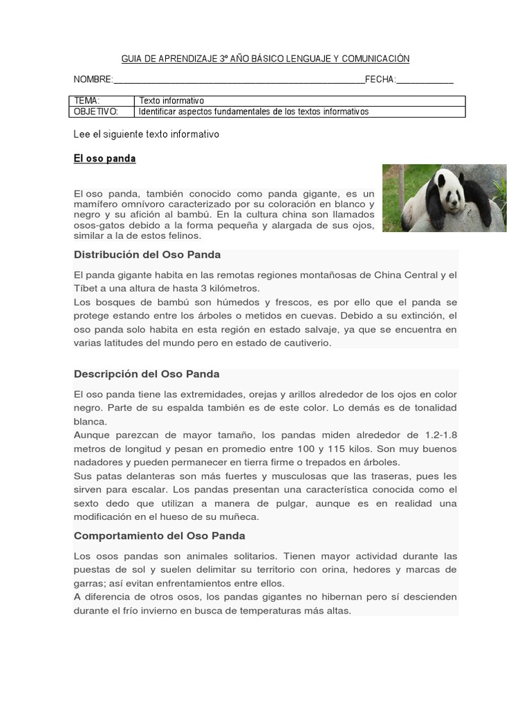 3º Básico Lenguaje Guia Lectura Texto Informativo | PDF | Panda gigante ...