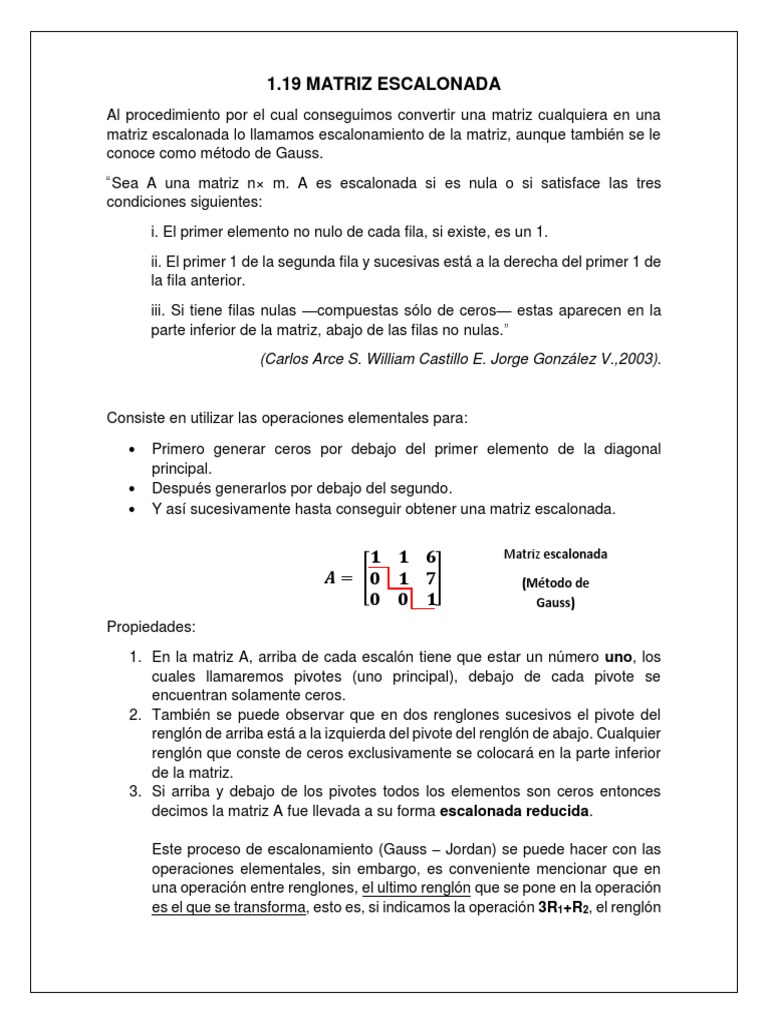 Matriz Escalonada y Pivotes | PDF | Matriz (Matemáticas) | Enseñanza de ...