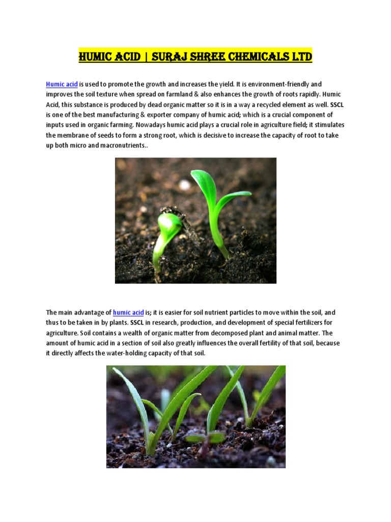 Humic Acid - Suraj Shree Chemicals LTD | PDF | Soil | Organic Farming