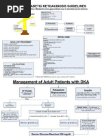 Simplified Glucommander Protocol | PDF