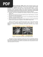 Laporan Uji SEM (Scanning Electron Microscope) | PDF