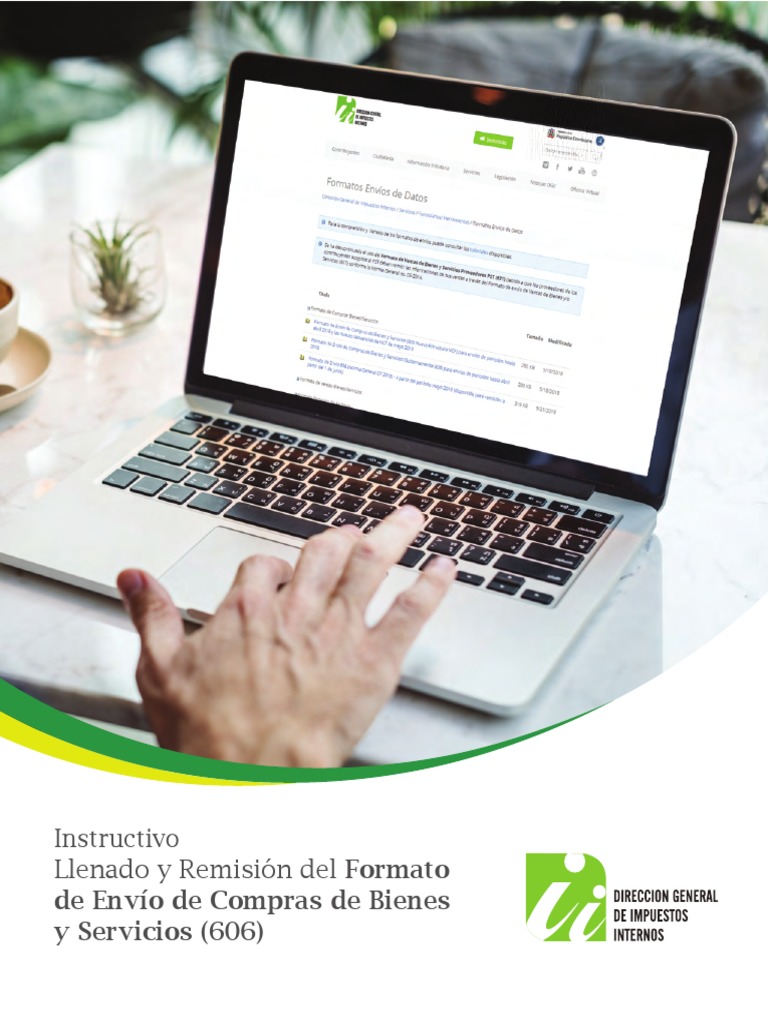Instructivo para Llenar Formato 606 | PDF | Impuestos | Archivo de ...