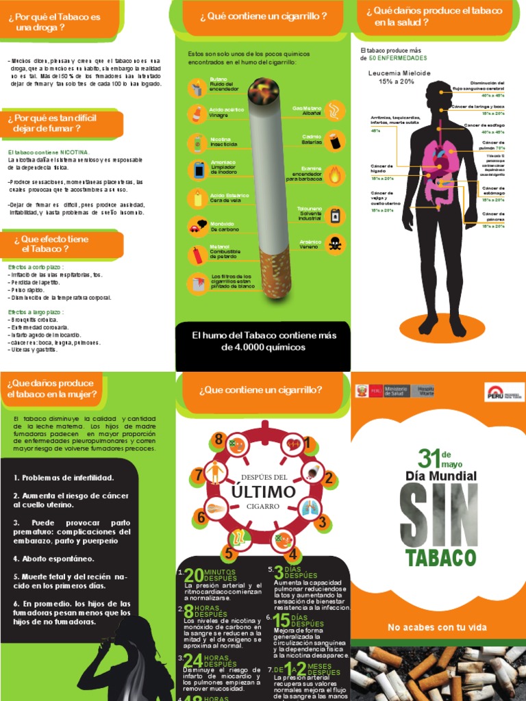 Triptico Cigarro 1 CC PDF | PDF | Tabaco | Cigarrillo