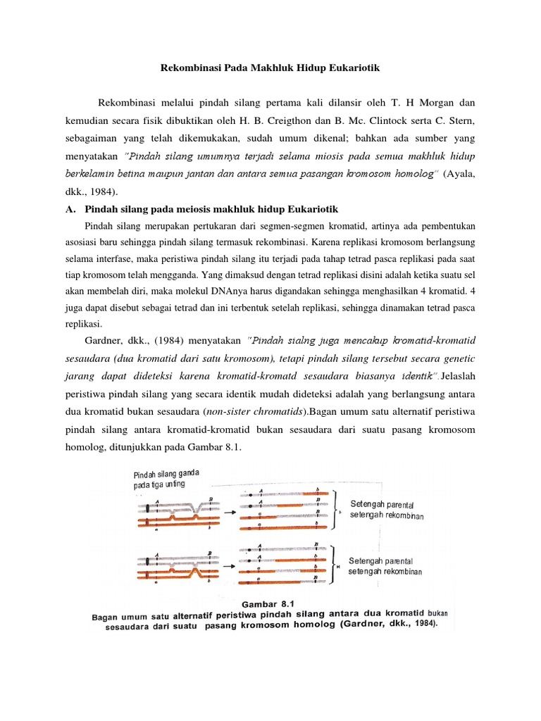 Rekombinasi Pada Makhluk Hidup Eukariotik | PDF
