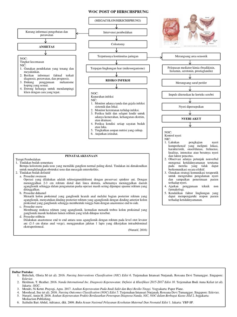 Penatalaksanaan Pasca Operasi Hirschsprung | PDF