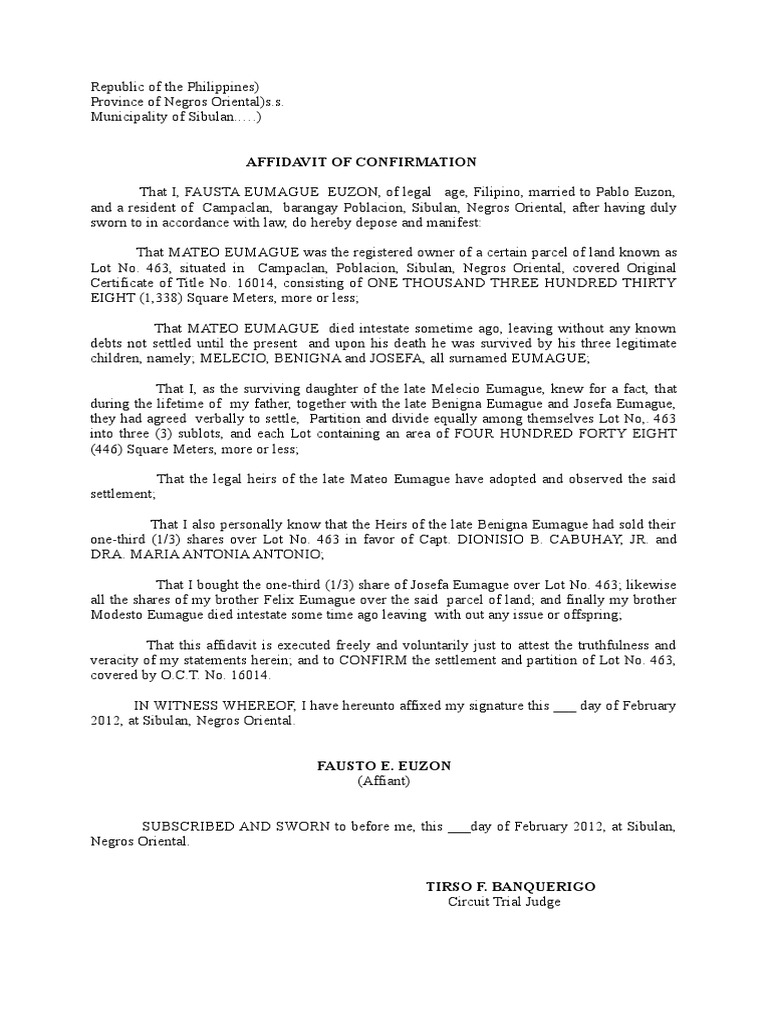 Affidavit of Confirmation - Euzon | Download Free PDF | Affidavit ...