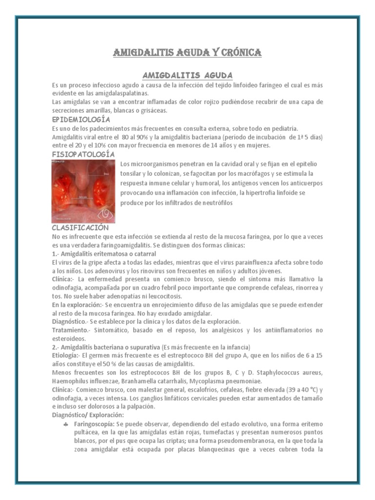 Amigdalitis Aguda y Cronica | PDF | Inflamación | Infección