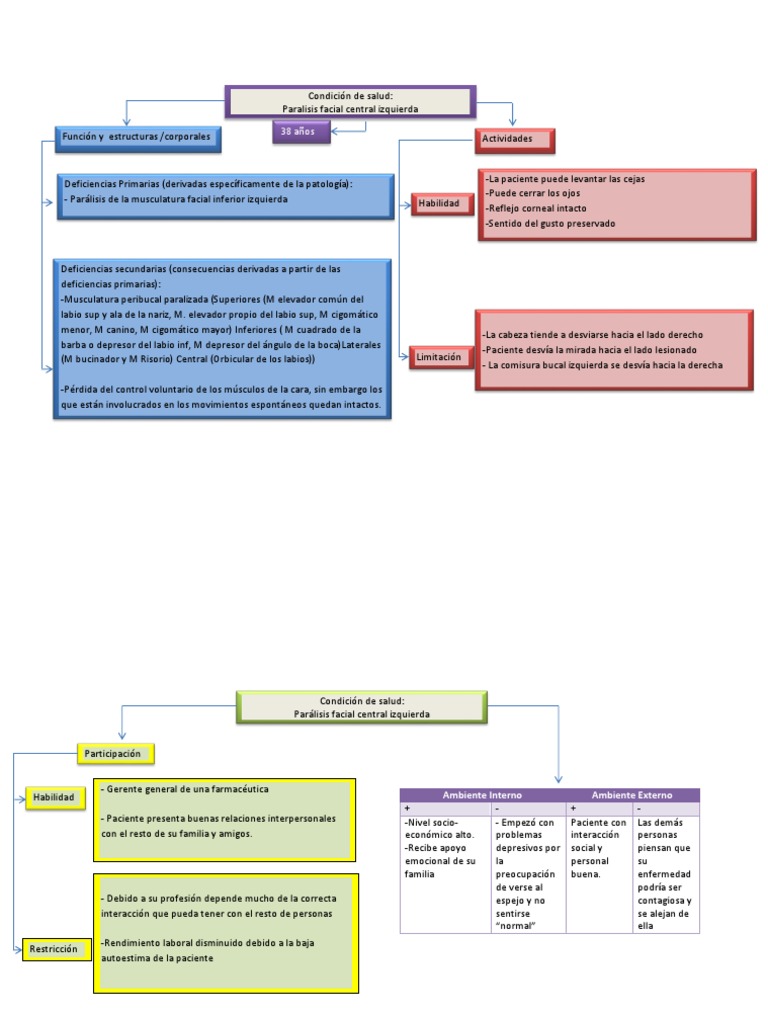 Cuadro Cif 1 P F | PDF | Anatomía humana | Bienestar