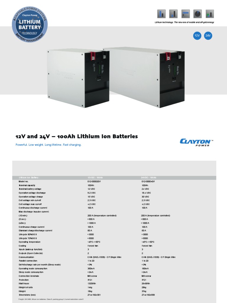 Lithium Datasheet Sa | PDF | Battery (Electricity) | Lithium Ion Battery