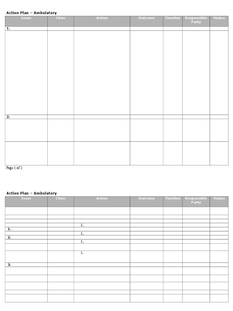 Action Plan - Ambulatory: Issue Clinic Action Outcome Timeline ...