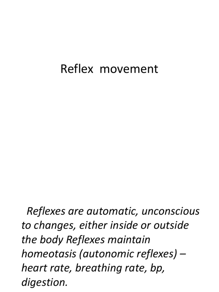 Reflex Movement | Download Free PDF | Neuron | Nerve