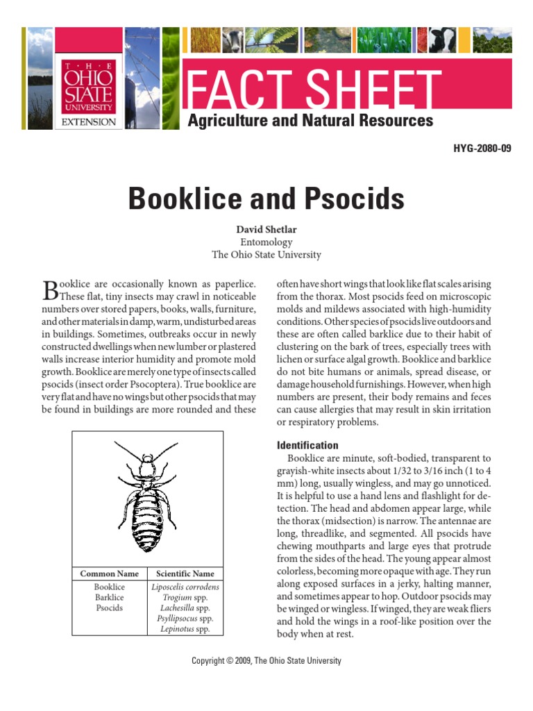 Book Lice | PDF | Basement | Insects