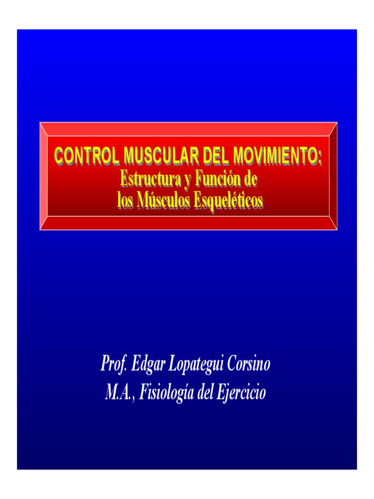 Control Muscular | PDF | Músculo | Contracción muscular
