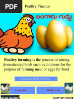 Poultry Management Practices Guide | PDF | Poultry Farming