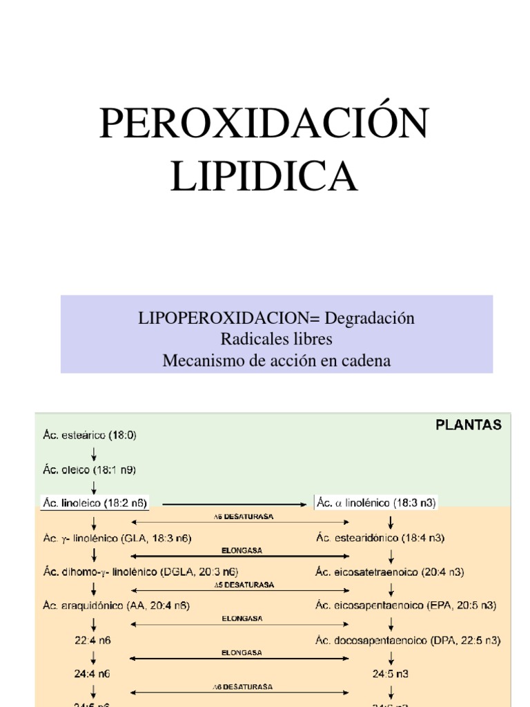 peroxidacion | Peroxidación lipídica | Radical (Química)