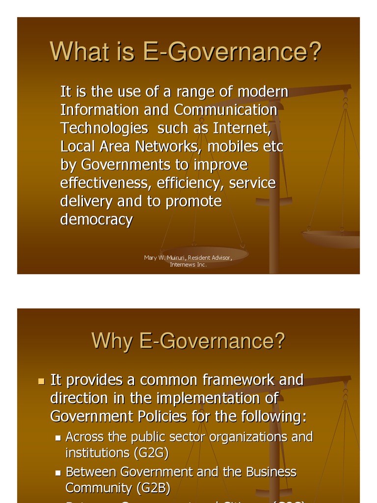 What Is E - Governance? | PDF | Business